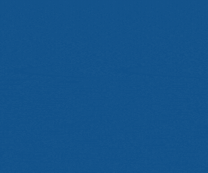 Basic 1 - Logic Grid Puzzle - Brainzilla